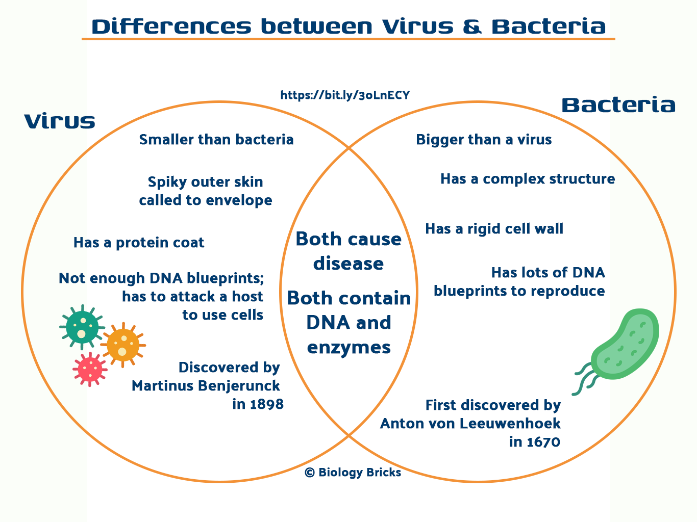 Bacteria Vs Viruses The Fight Off Between Bacteria And Viruses