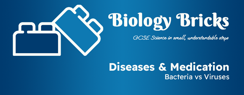 Bacteria vs Viruses, the fight off between bacteria and viruses ...