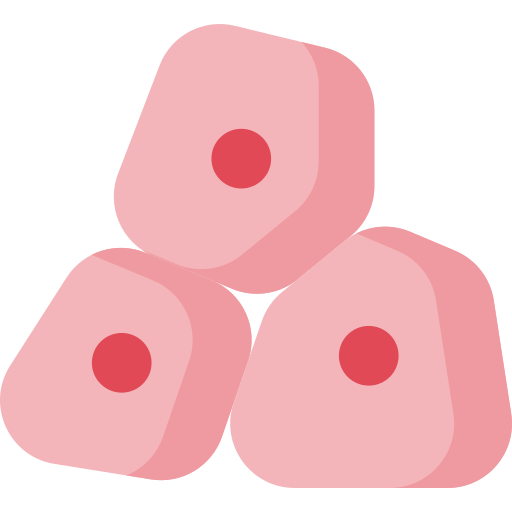 Cell Size Comparison, a look at the different sizes of cells, both in ...