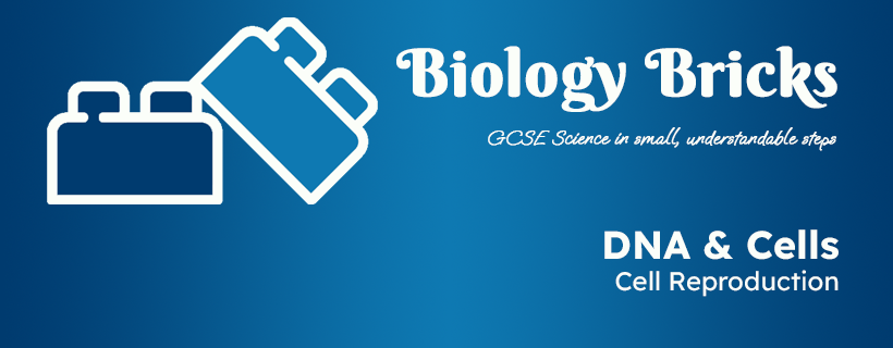 Cell Reproduction, the process of a cell making another cell by either ...