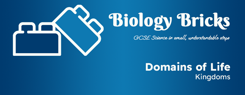 Kingdoms, a place where every living organism is logged and categorised ...